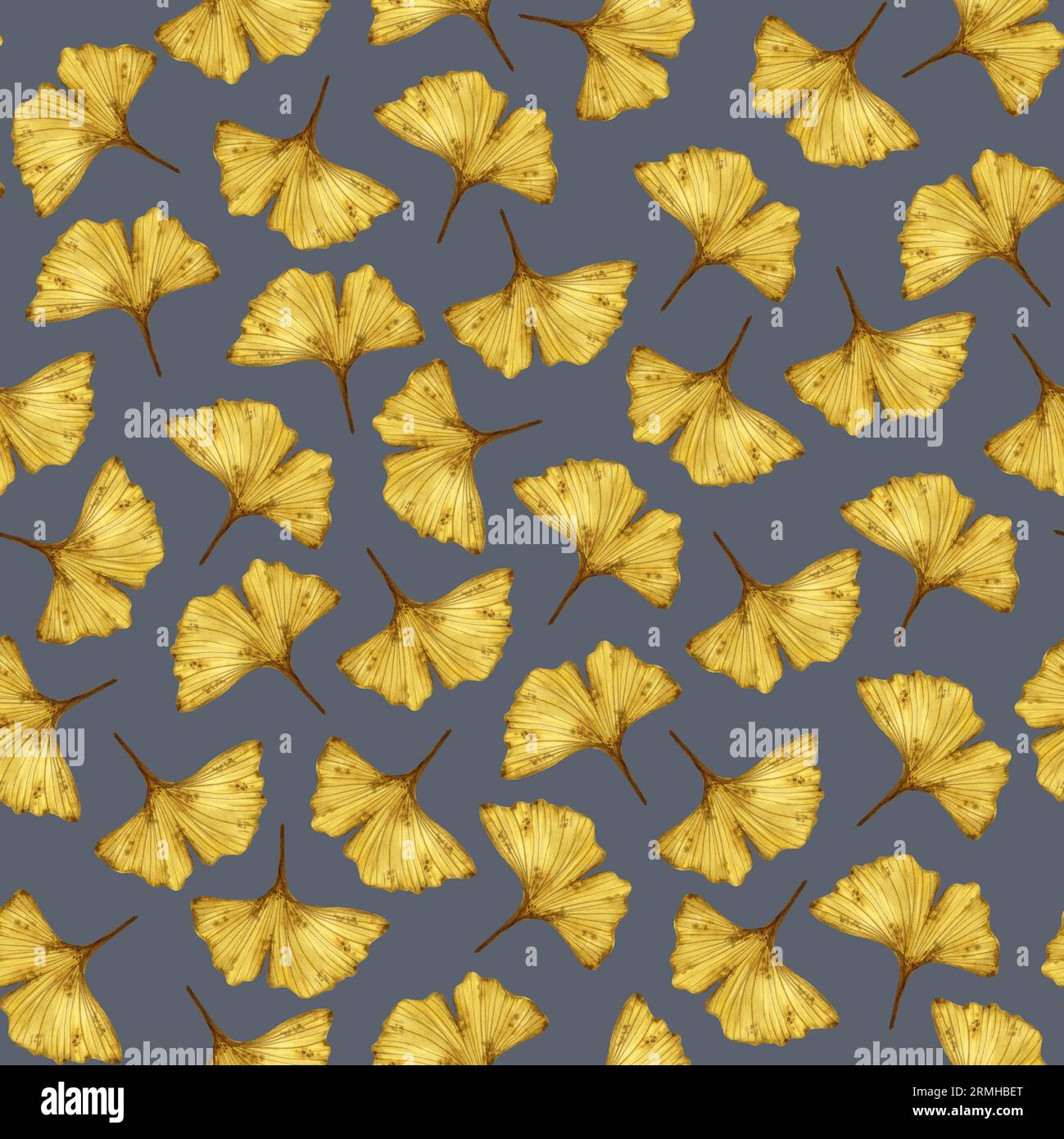 Seamless pattern with ginkgo biloba autumn leaves isolated on grey ...
