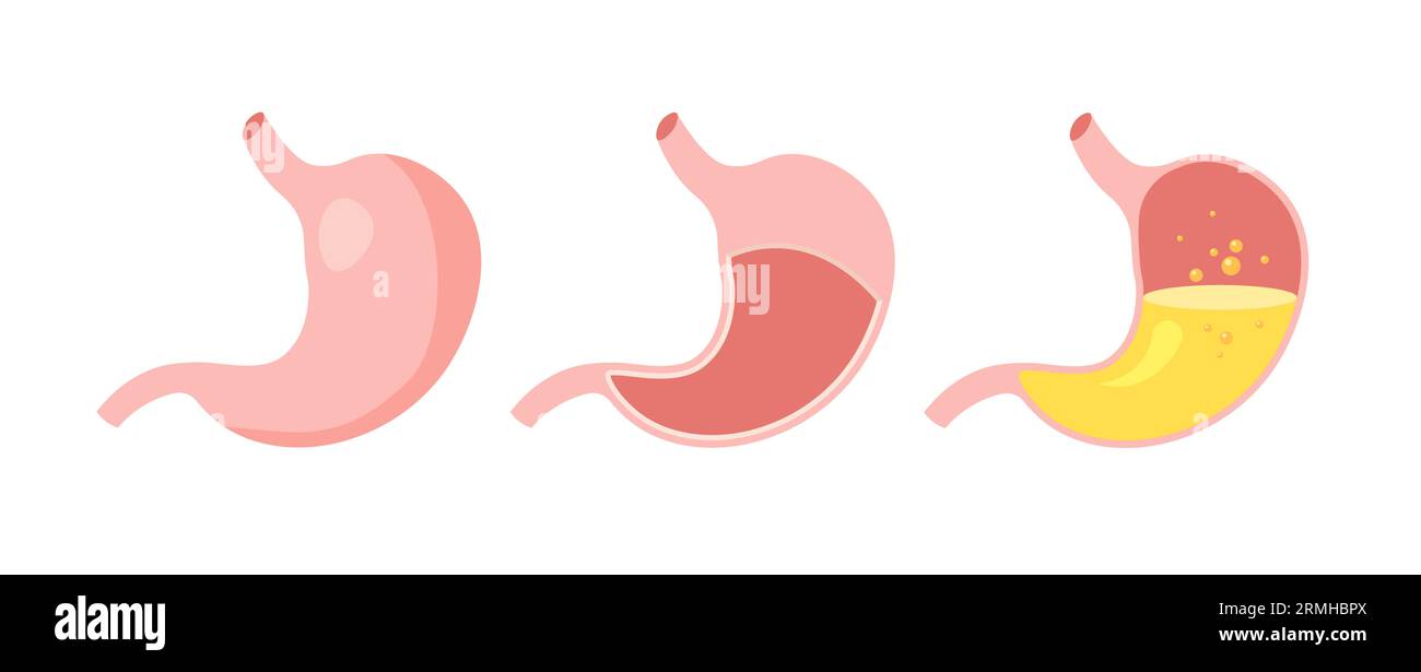 Empty Stomach Clipart