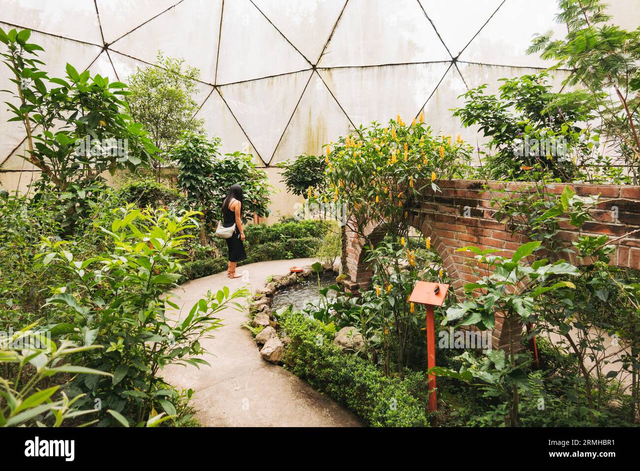 An indoor butterfly sanctuary at Atitlán Nature Reserve, a nature ...