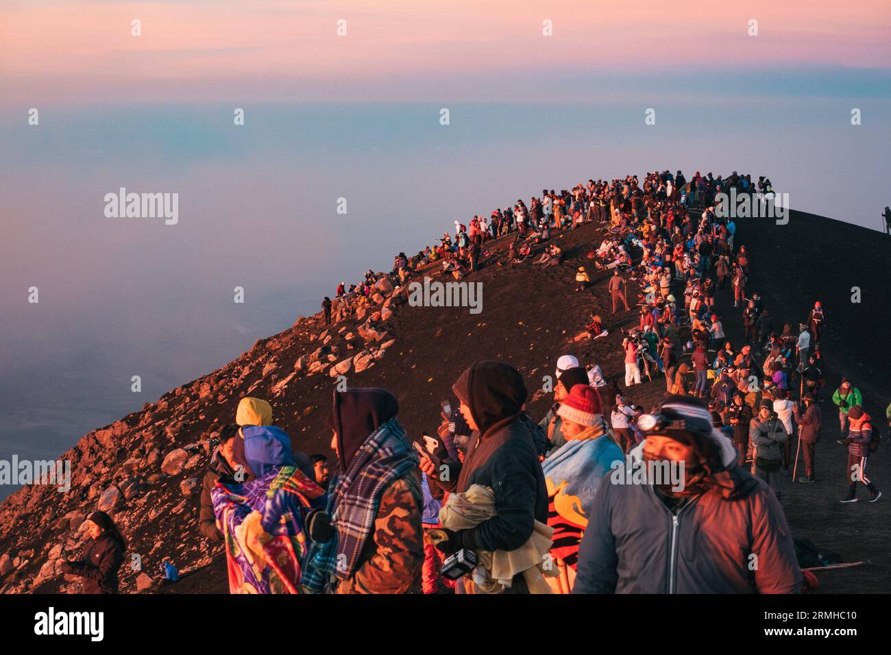 Crowd crowds crowding hi-res stock photography and images - Alamy