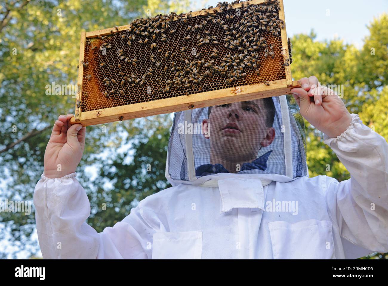 child beekeeper teen boy Stock Photo - Alamy