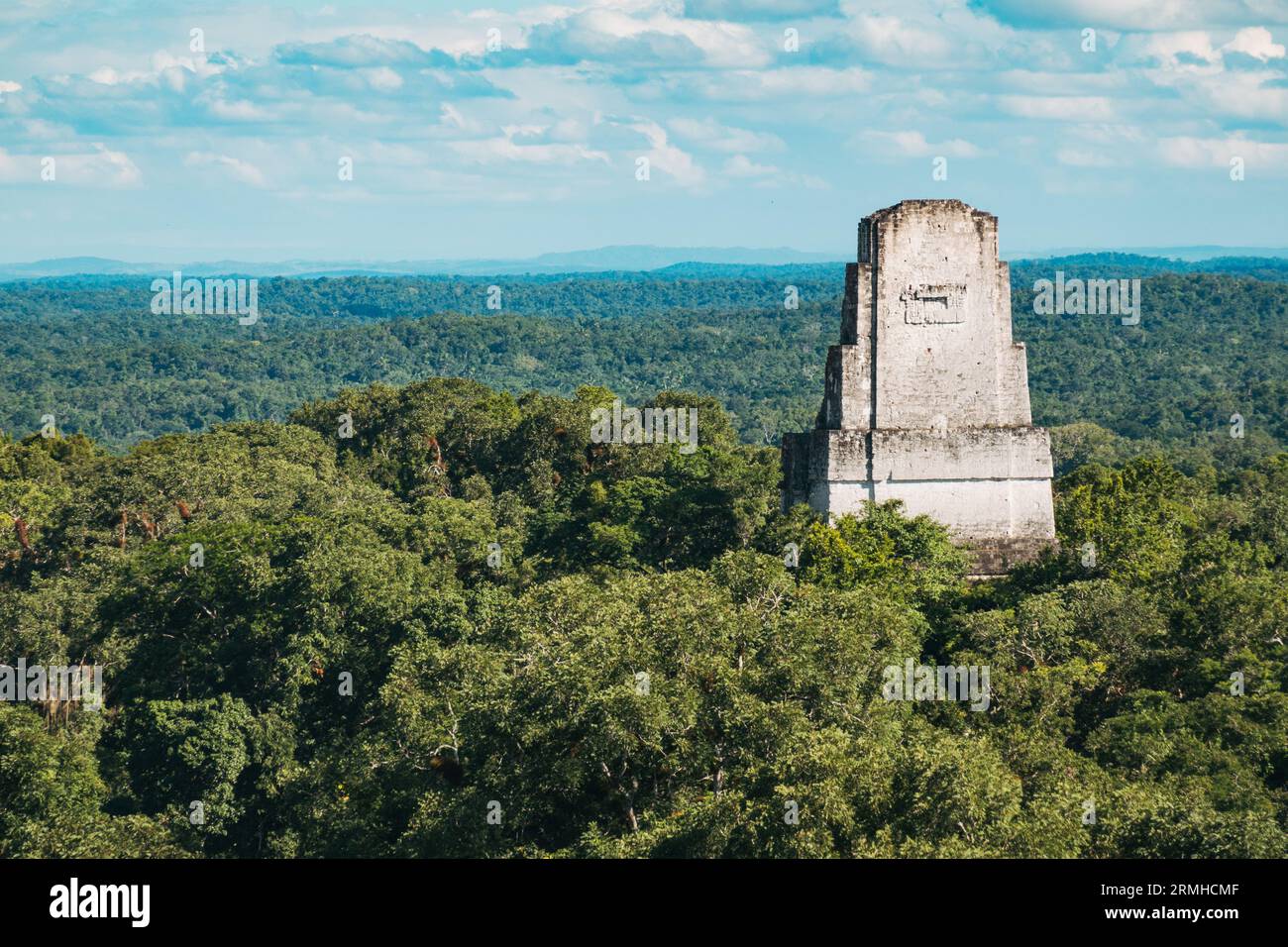Tikal guatemala forest temple maya mayan temple hi-res stock ...