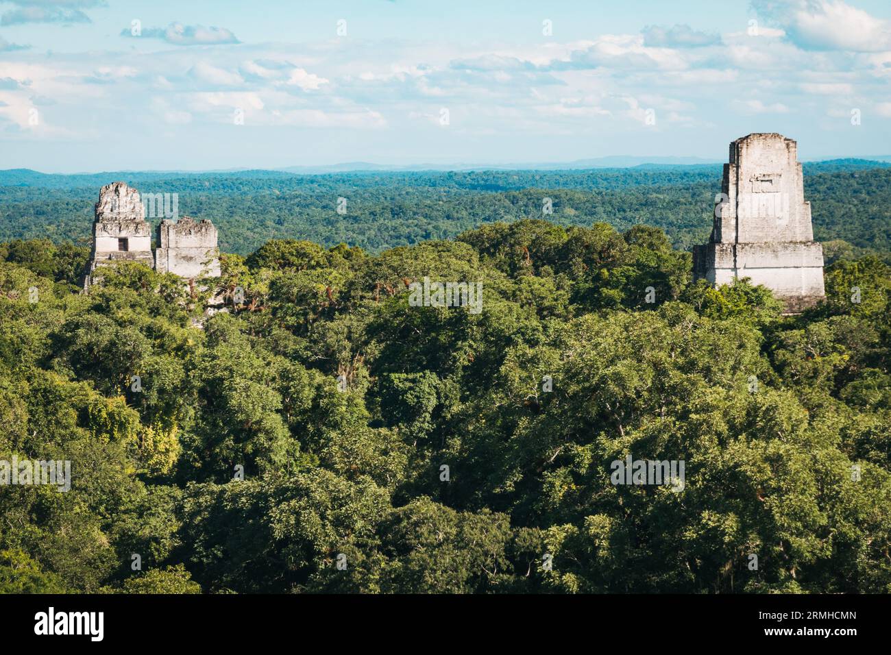 The view of Temples I and III from Temple IV, the tallest structure at ...