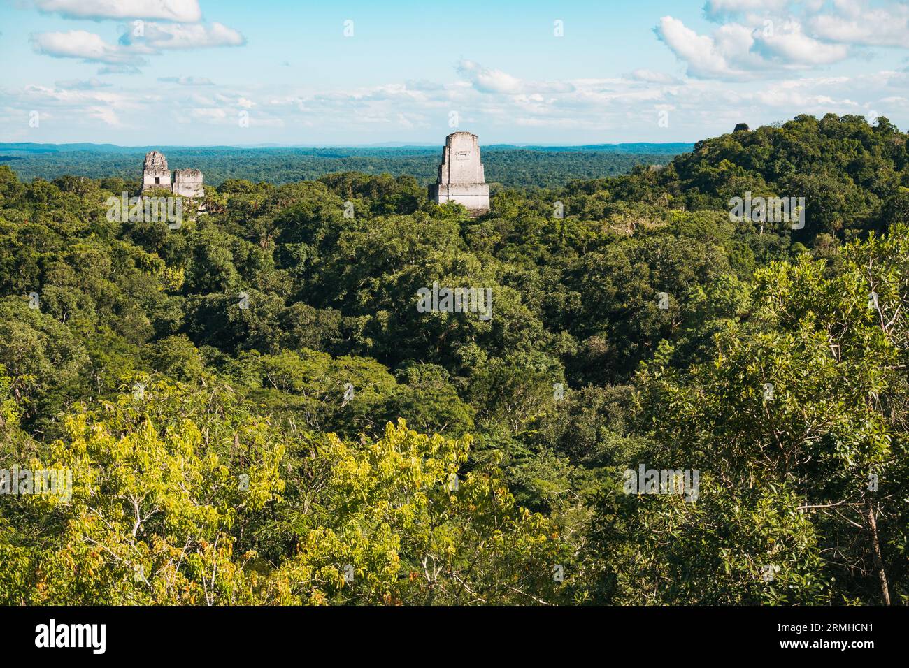 The view of other ruins from Temple IV, the tallest structure at Tikal ...