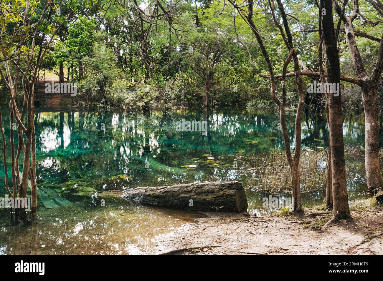 crystal clear waters of Crater Azul (Blue Crater) in northern Guatemala ...