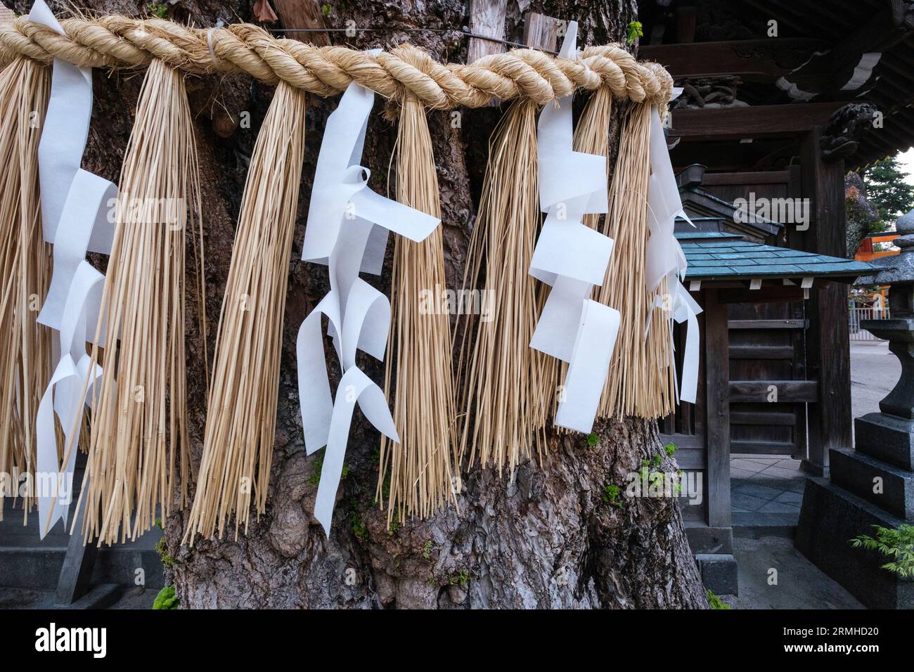 Japan, Fukuoka. Kushida Shinto Shrine. Shimenawa Rope and Paper ...