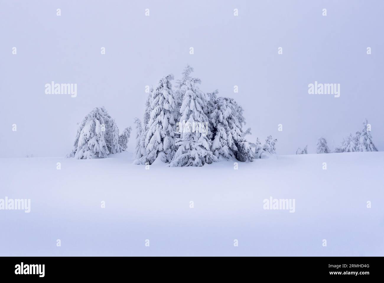 Surreal winter snowy scene fence hi-res stock photography and images ...