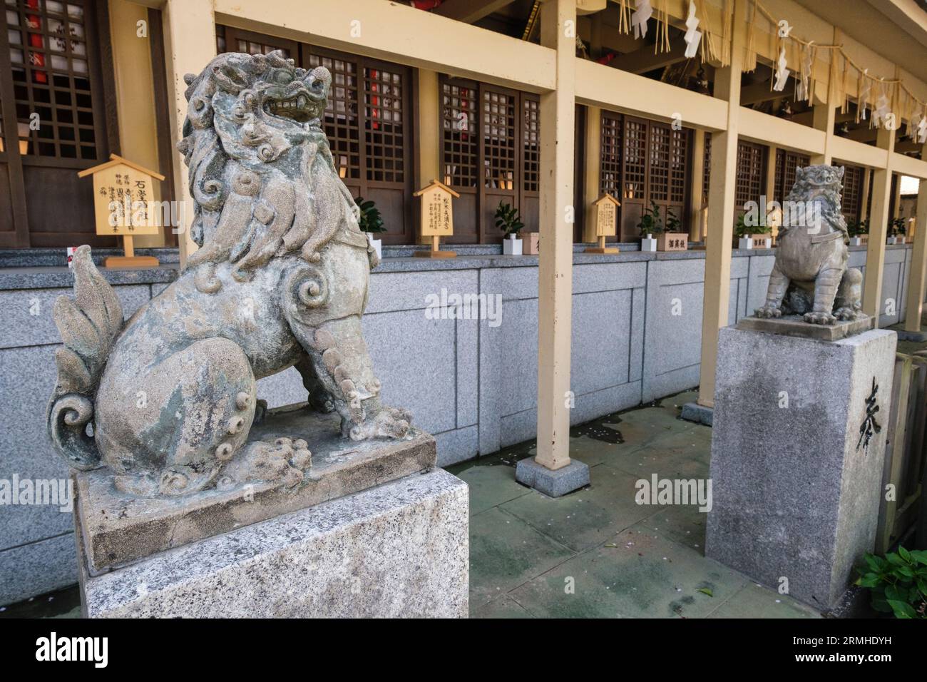 Japan, Fukuoka, Hakata. Kushida Shinto Shrine, Lion-dog Guardian, Mouth ...