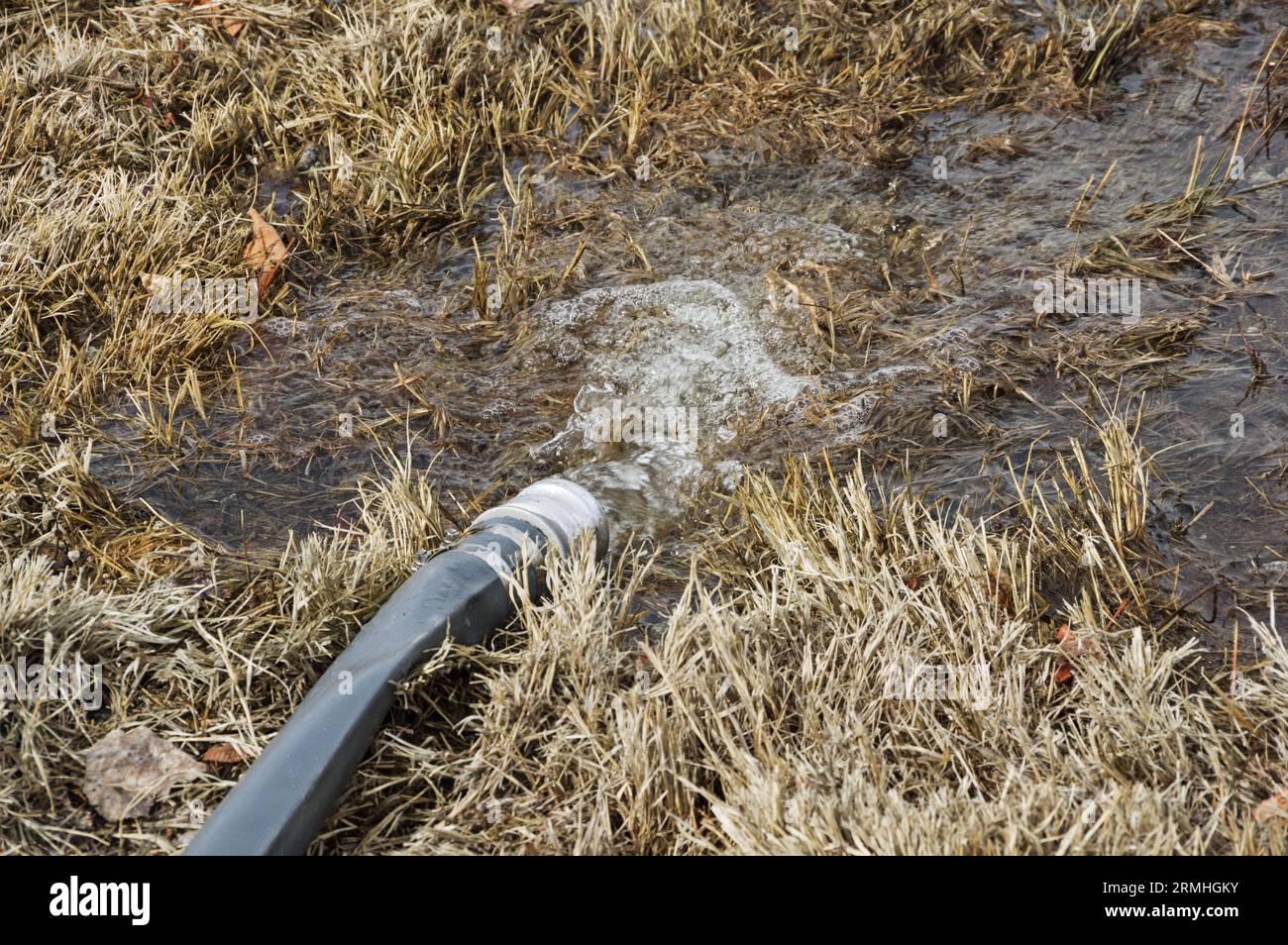 water from a flood pump flowing out onto grass through a fire hose Stock Photo - Alamy