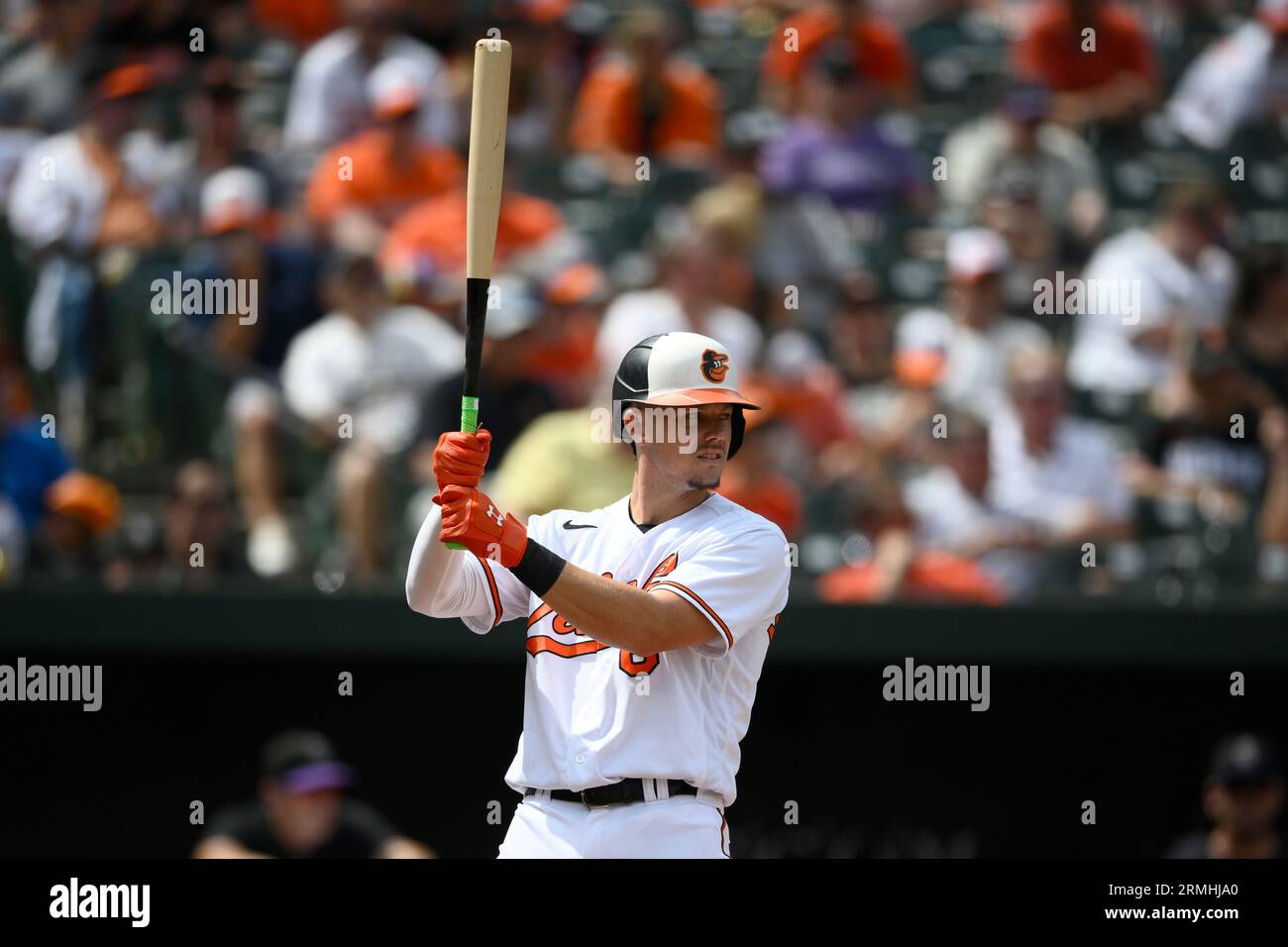 Baltimore Orioles' Ryan Mountcastle in action during a baseball game ...