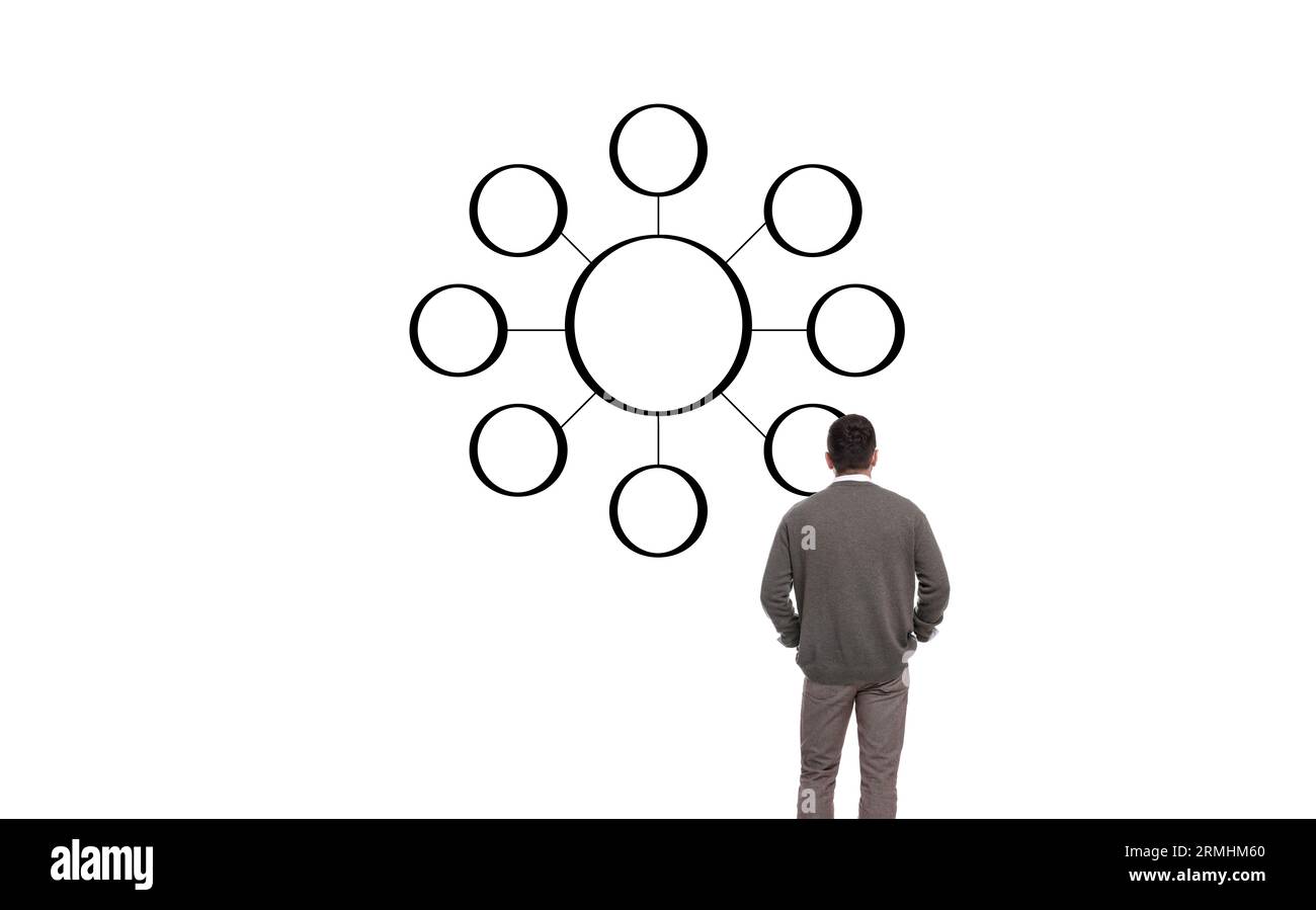 Logic. Man standing in front of diagram on white background, back view ...
