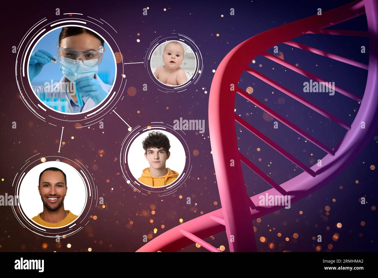 Scheme with portraits of scientist, baby, teen and adult on color ...