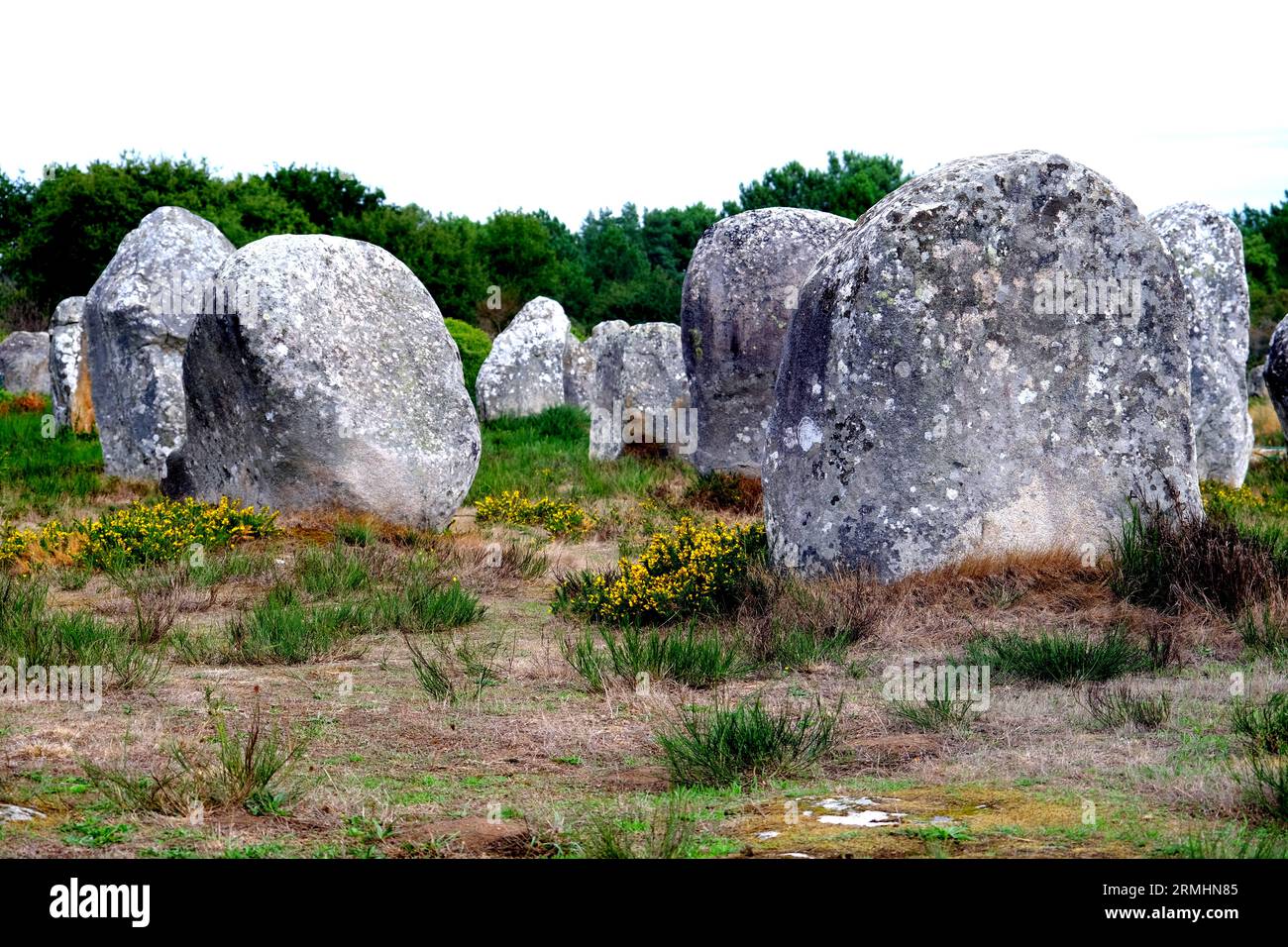 Megalithic stone alignments in Carnac Brittany France Stock Photo - Alamy