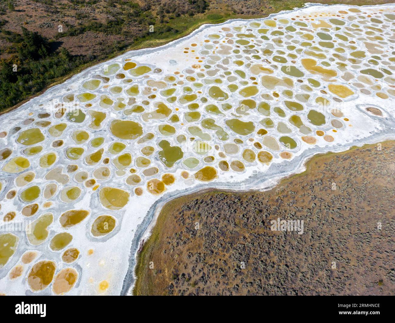 Spotted Lake is a saline endorheic alkali lake located northwest of ...