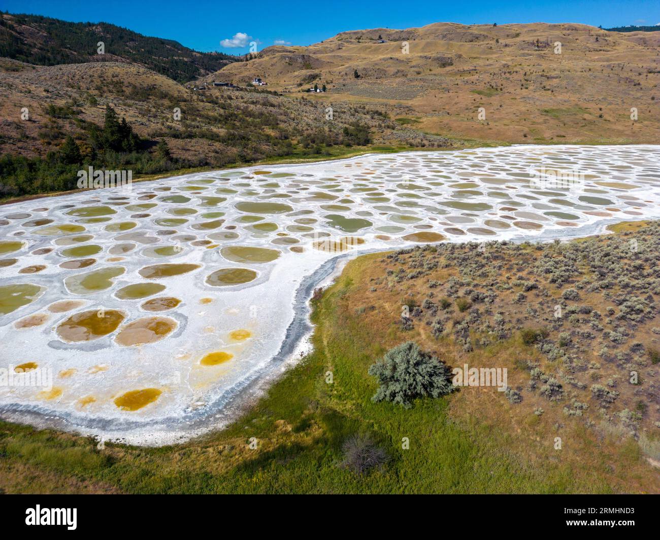 Spotted Lake is a saline endorheic alkali lake located northwest of ...