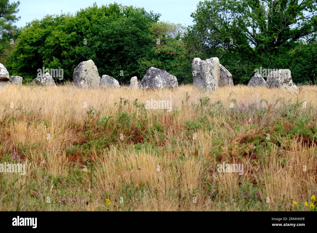 Megalithic stone alignments in Carnac Brittany France Stock Photo - Alamy