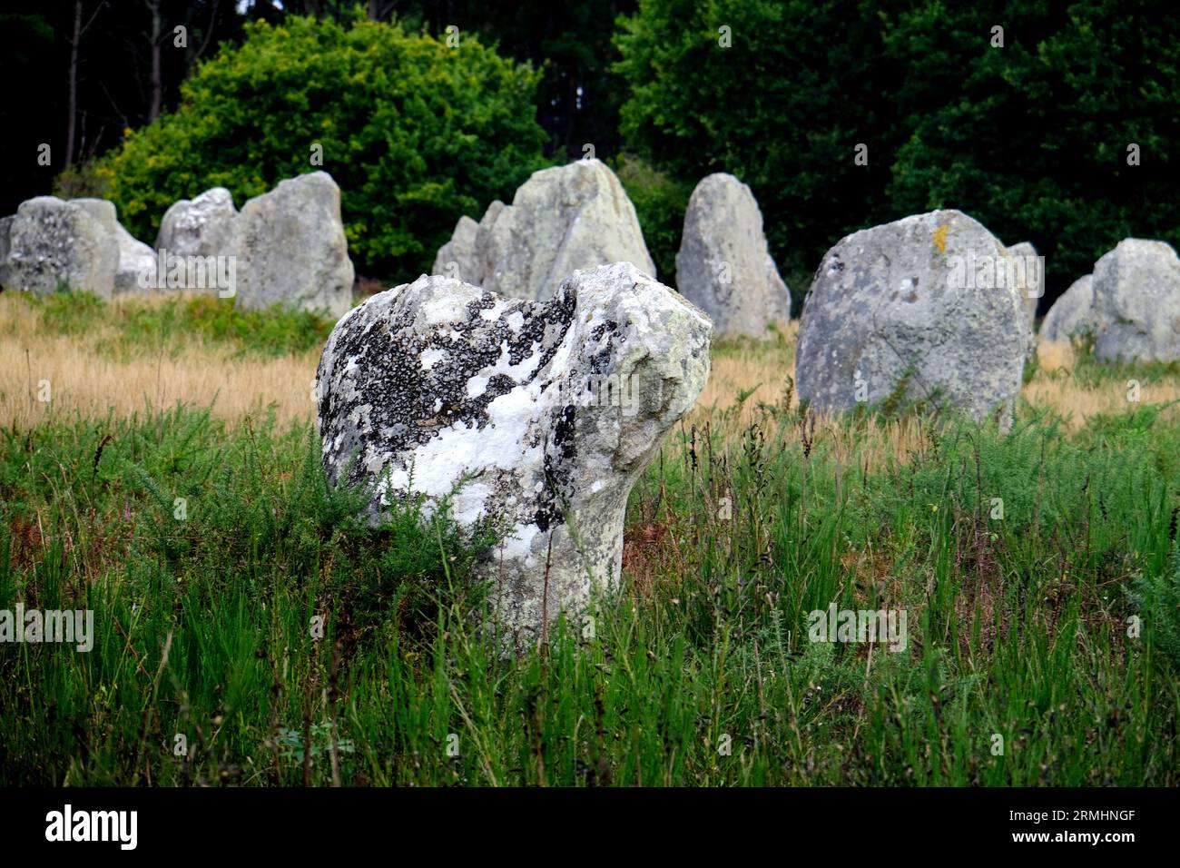 Megalithic stone alignments in Carnac Brittany France Stock Photo - Alamy
