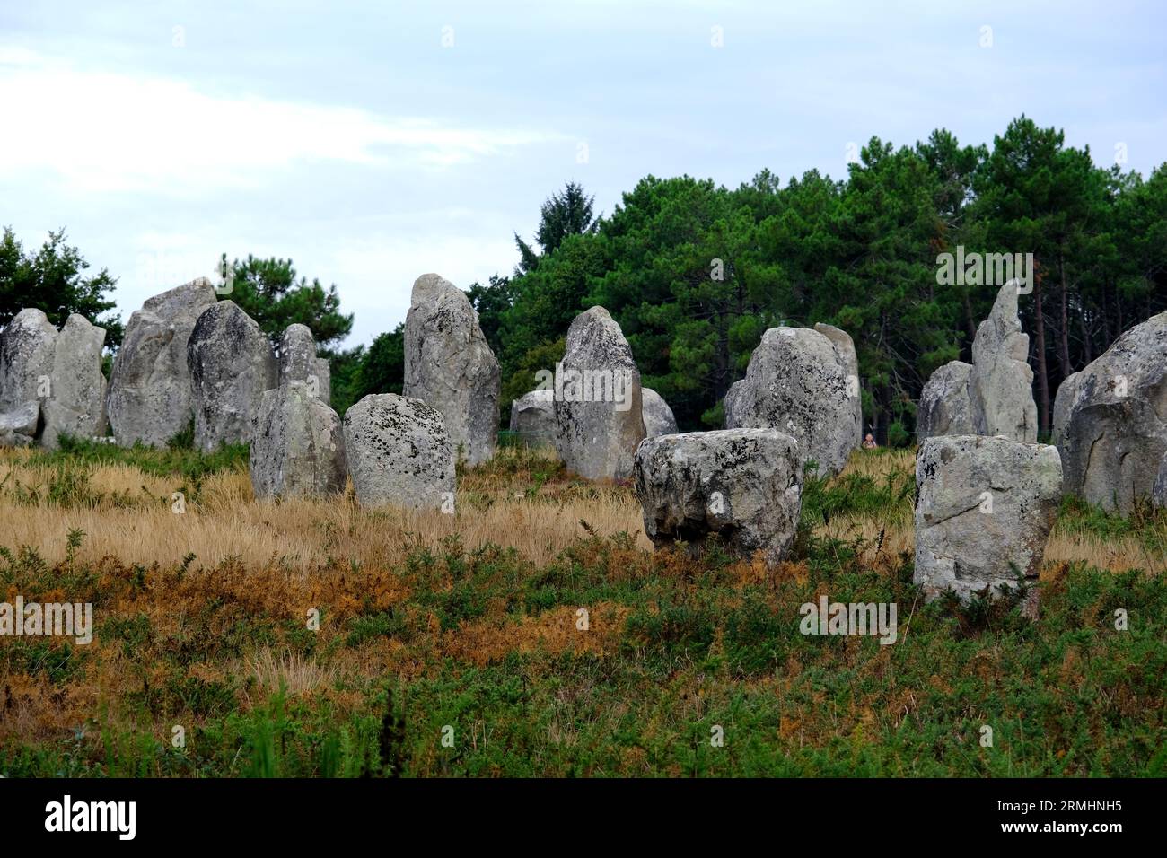Megalithic stone alignments in Carnac Brittany France Stock Photo - Alamy