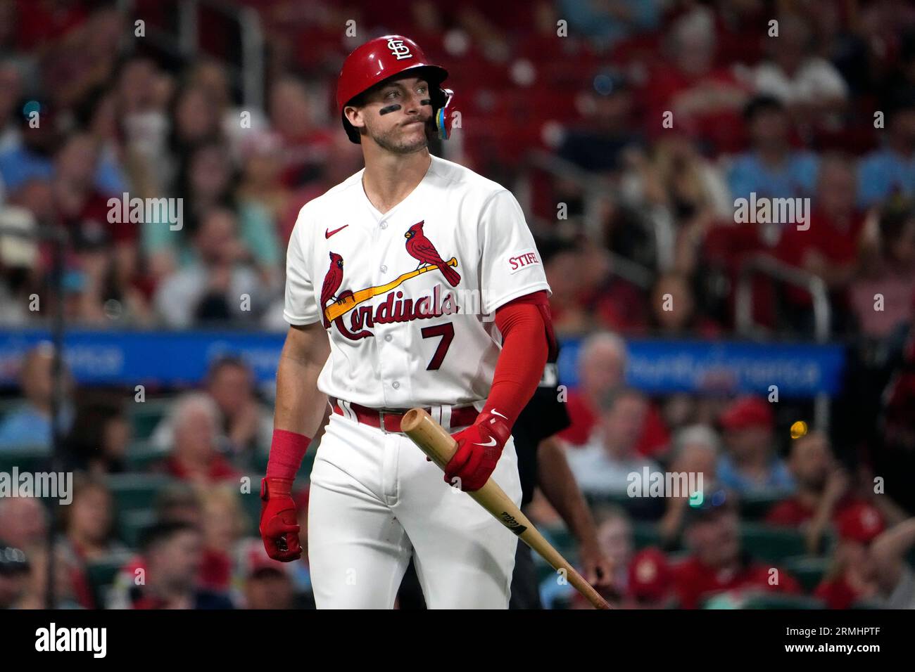 St. Louis Cardinals' Andrew Knizner walks back to the dugout after ...