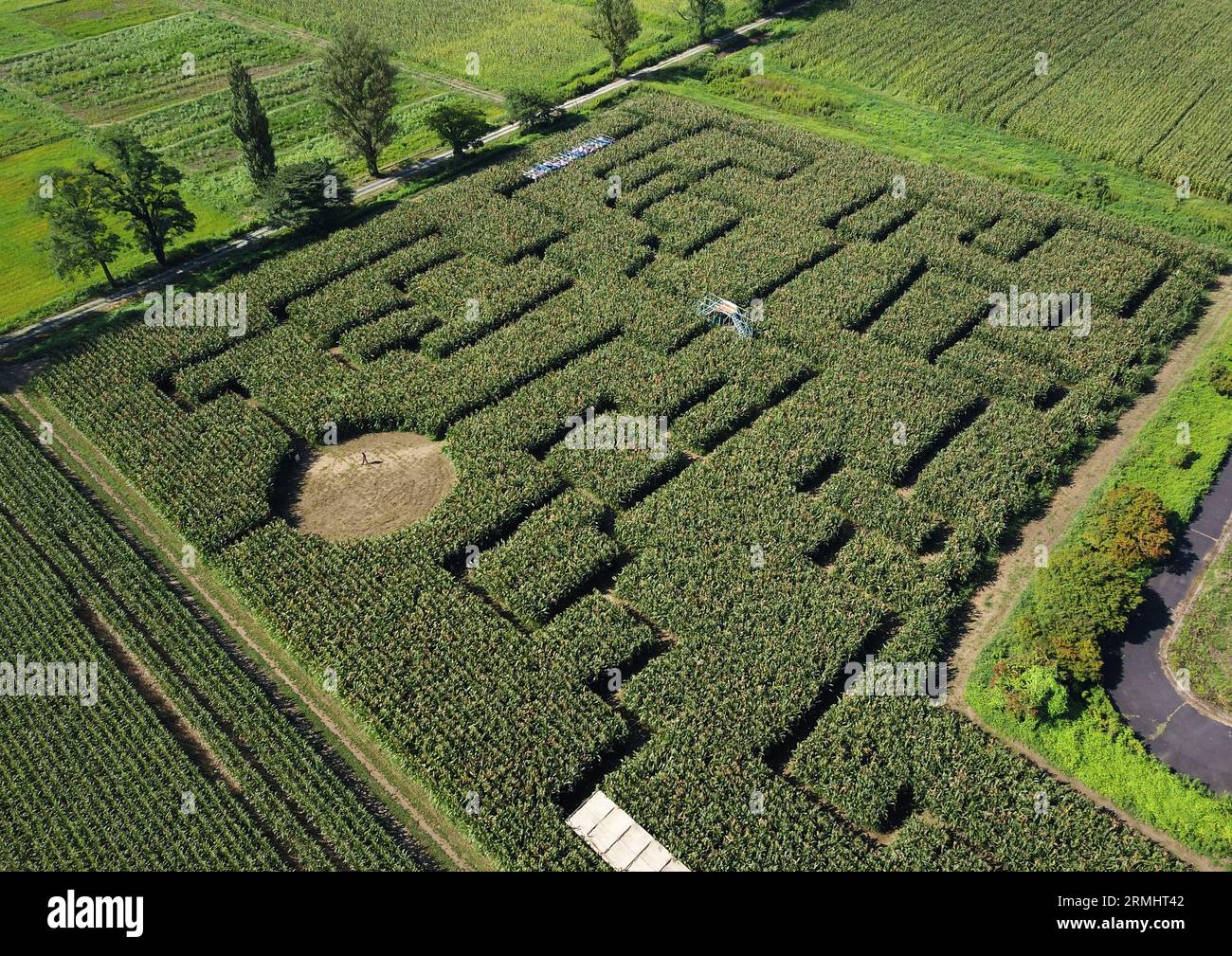 A photo shows a huge maze at a corn field of Iwase Ranch in Kagamiishi ...