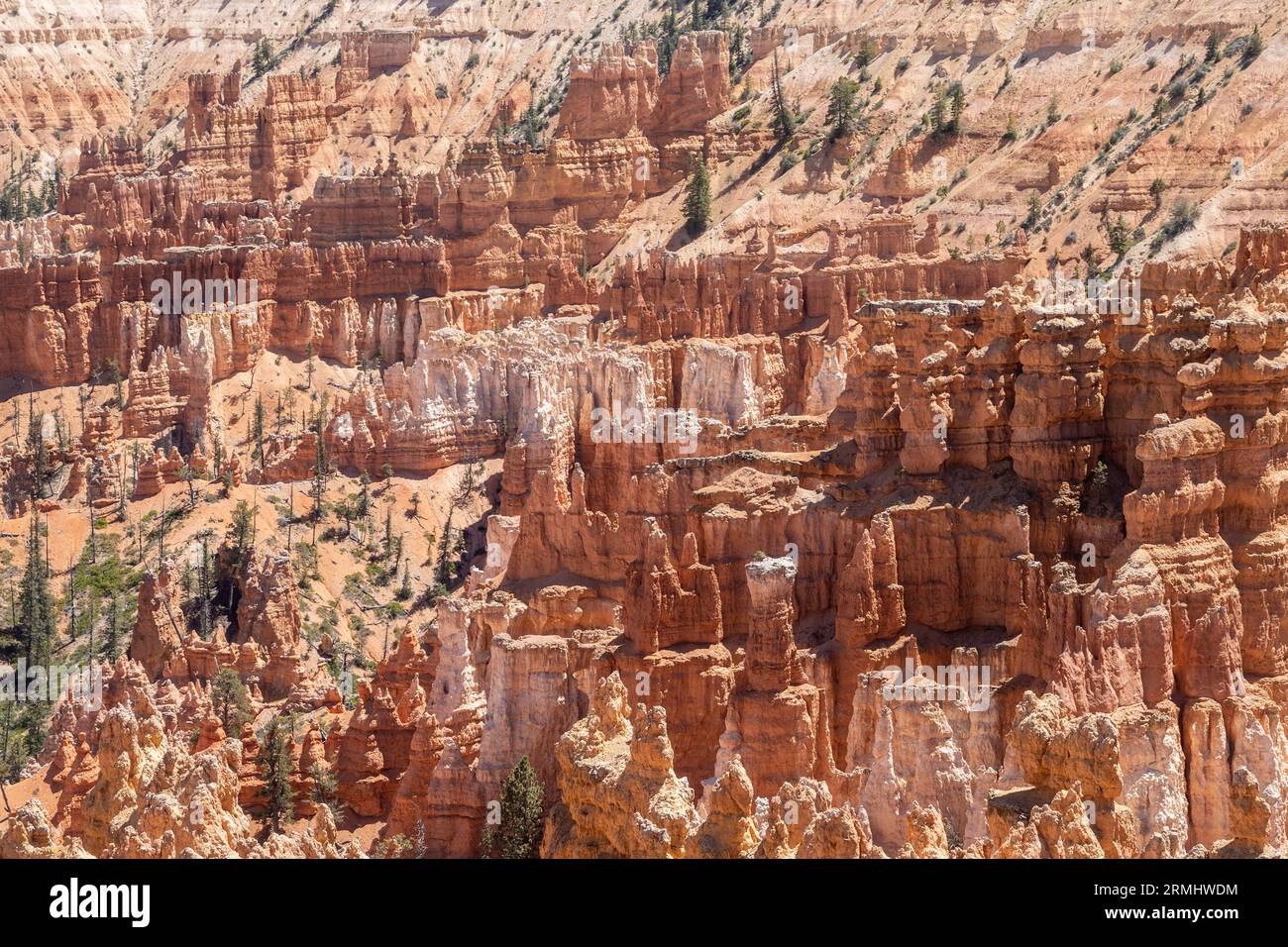 Bryce Canyon in Utah, is famous of its breathtaking rock formations ...