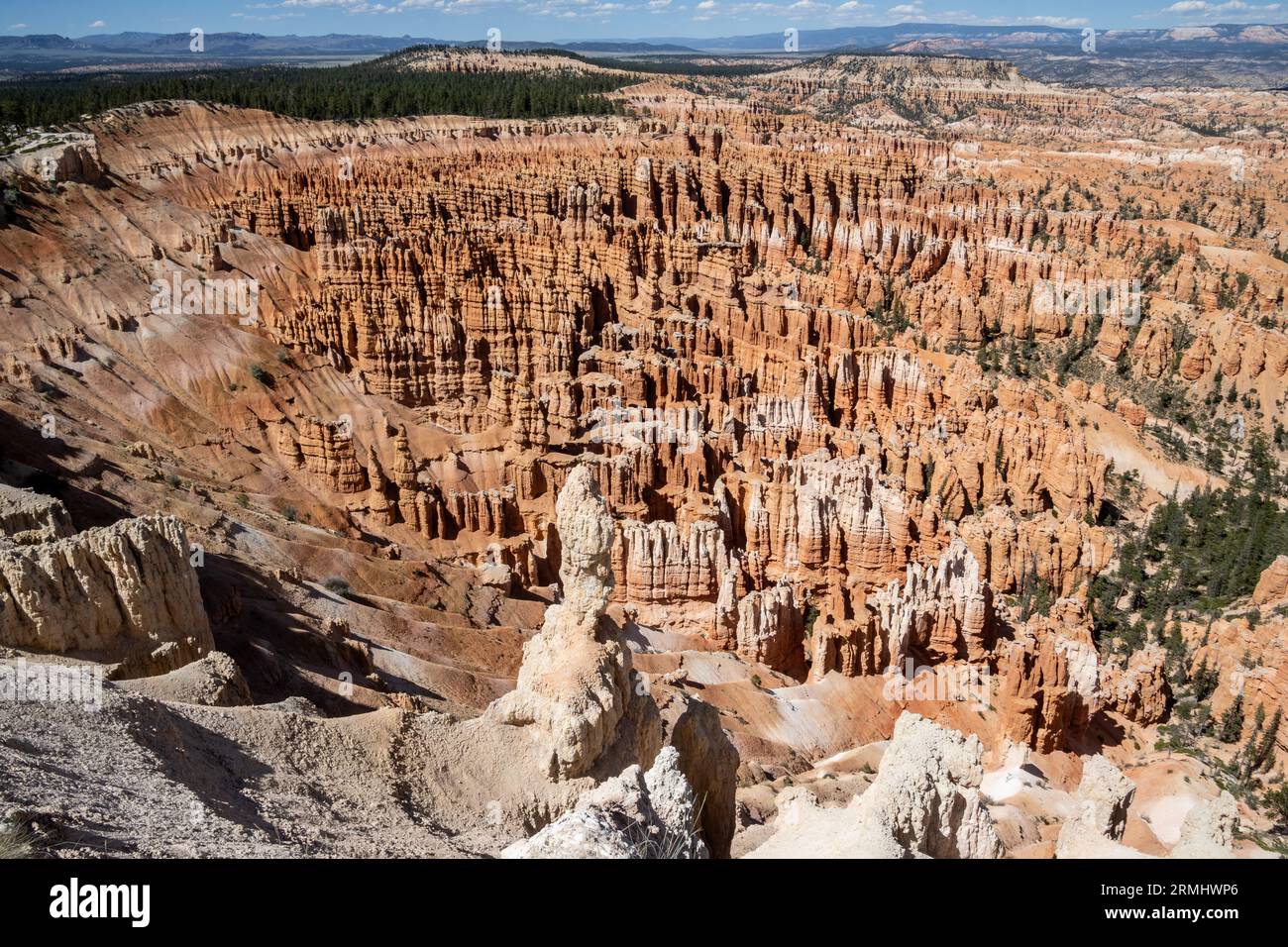 Bryce Canyon in Utah, is famous of its breathtaking rock formations ...