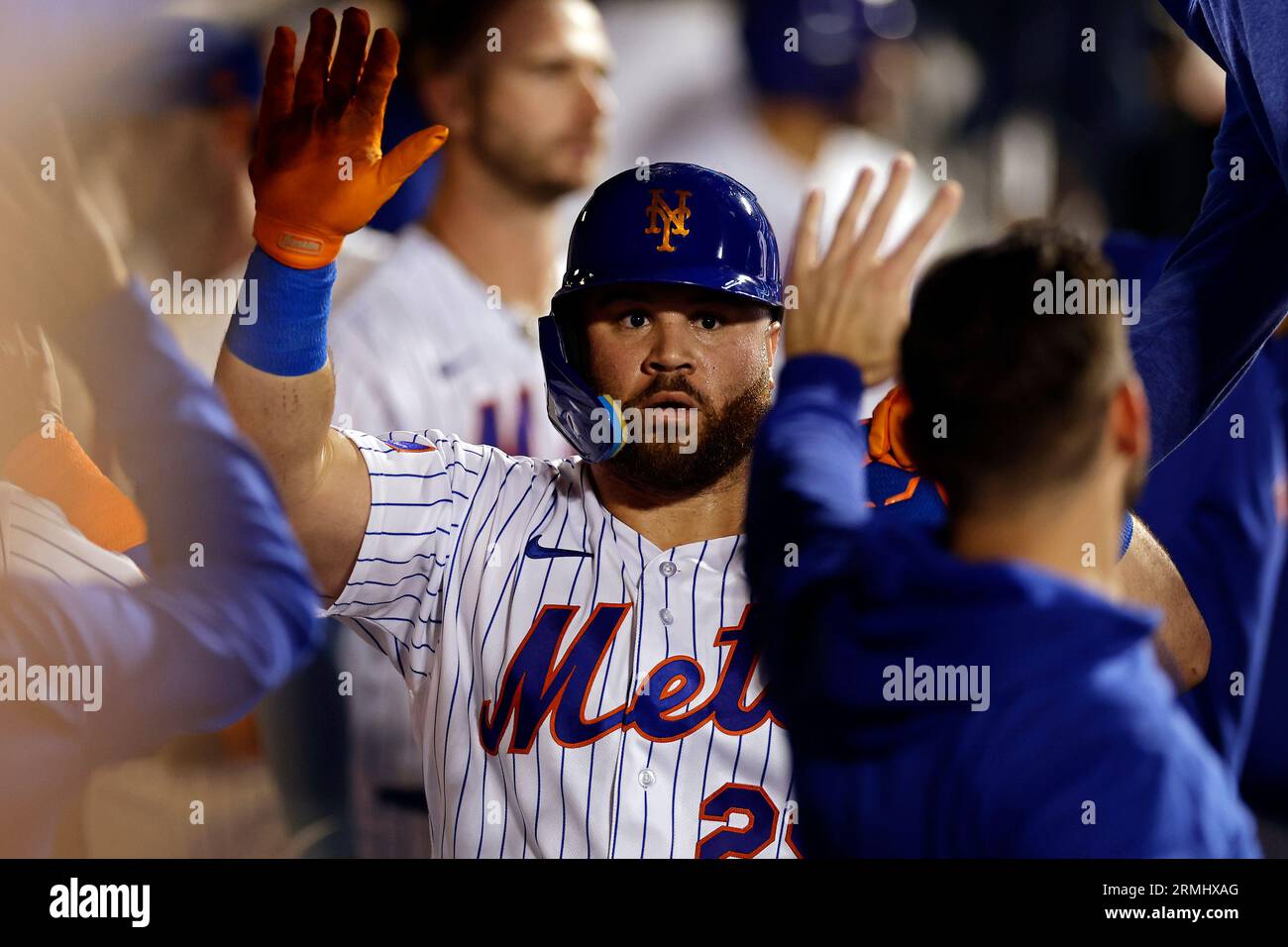 New York Mets' DJ Stewart (29) reacts after hitting a home run against ...