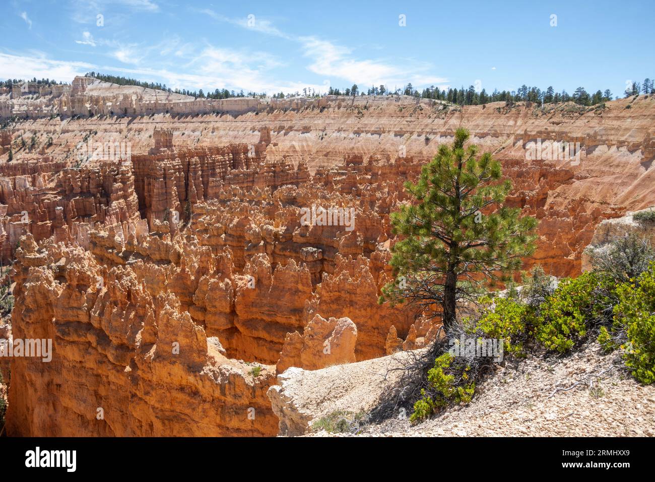 Bryce Canyon in Utah, is famous of its breathtaking rock formations ...