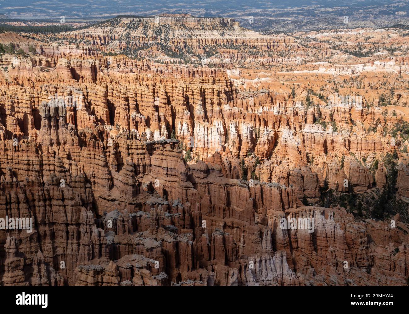 Bryce Canyon in Utah, is famous of its breathtaking rock formations ...