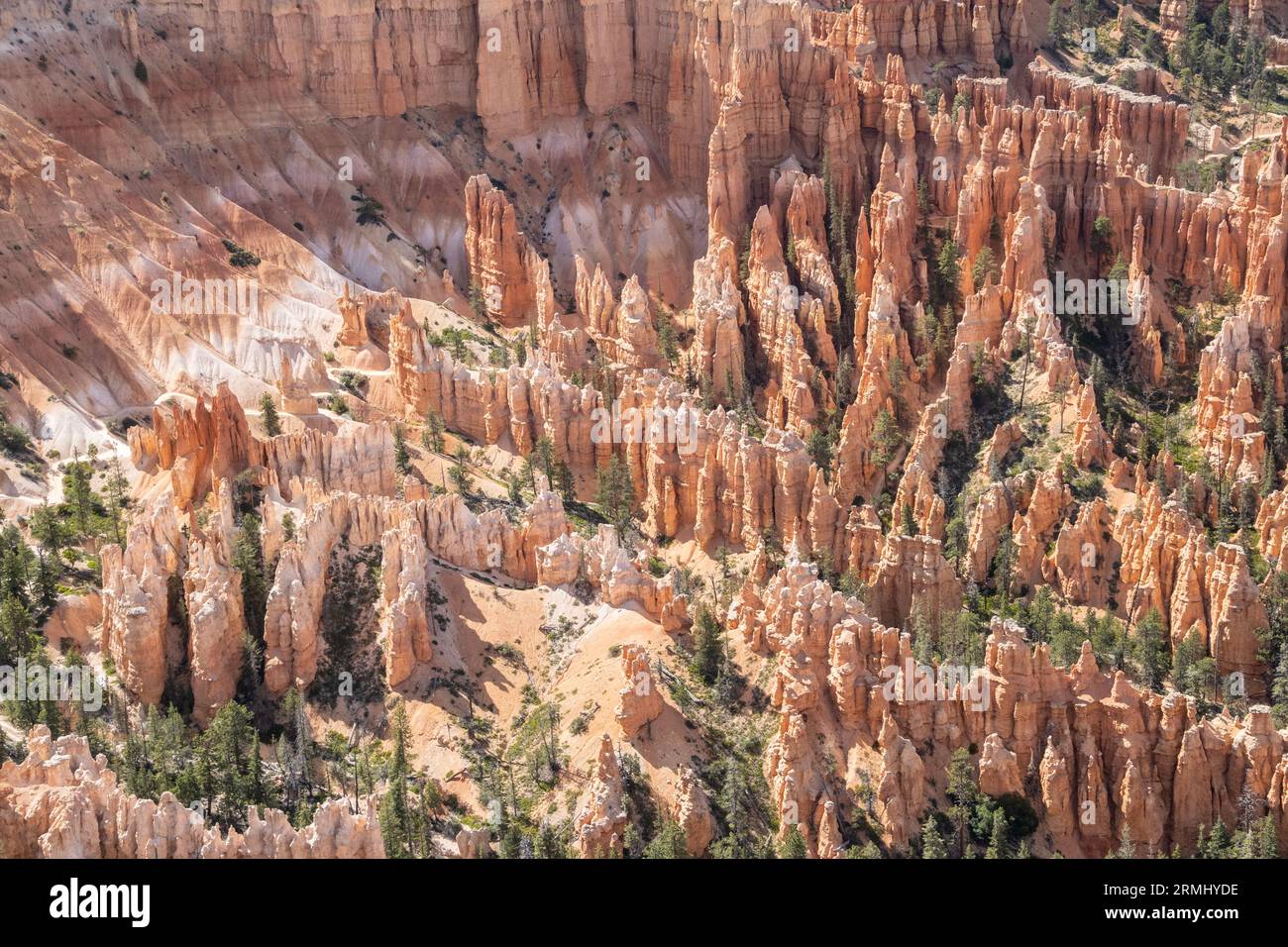 Bryce Canyon in Utah, is famous of its breathtaking rock formations ...