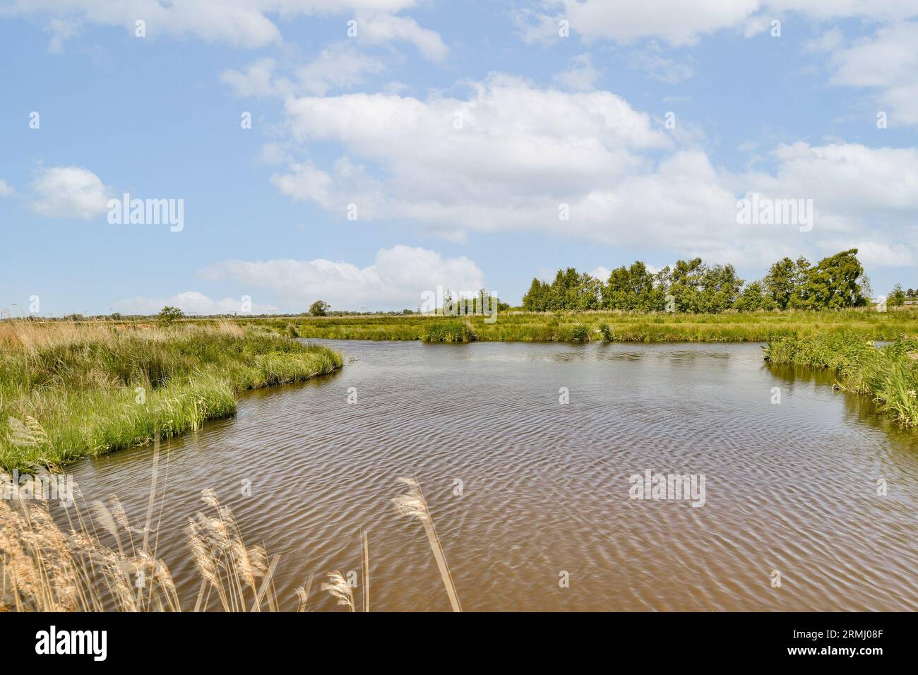a river in the middle of a field with tall grass and trees on both ...
