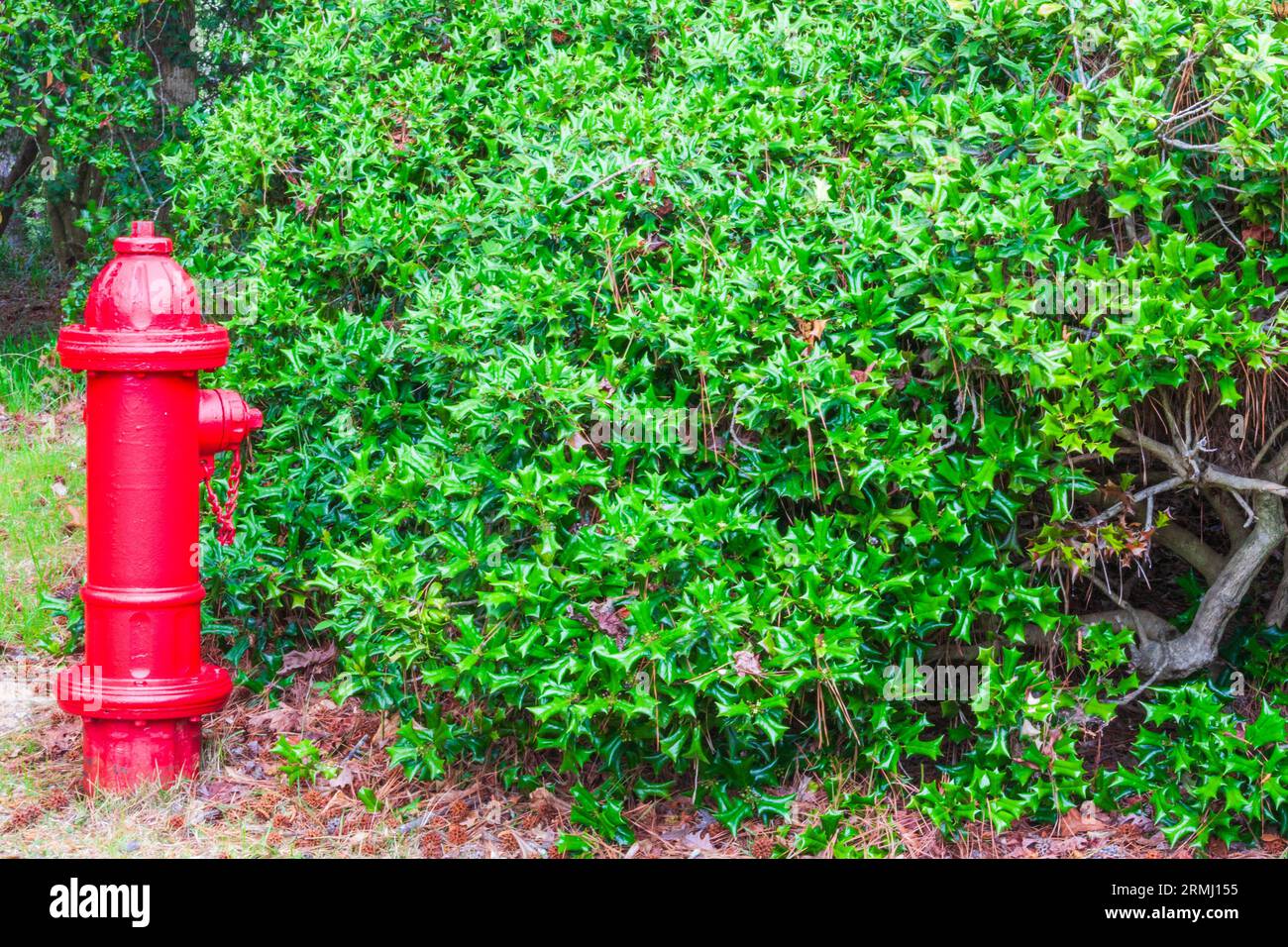 Red Fire hydrant in Azalea Overlook Garden in Callaway Gardens, near ...