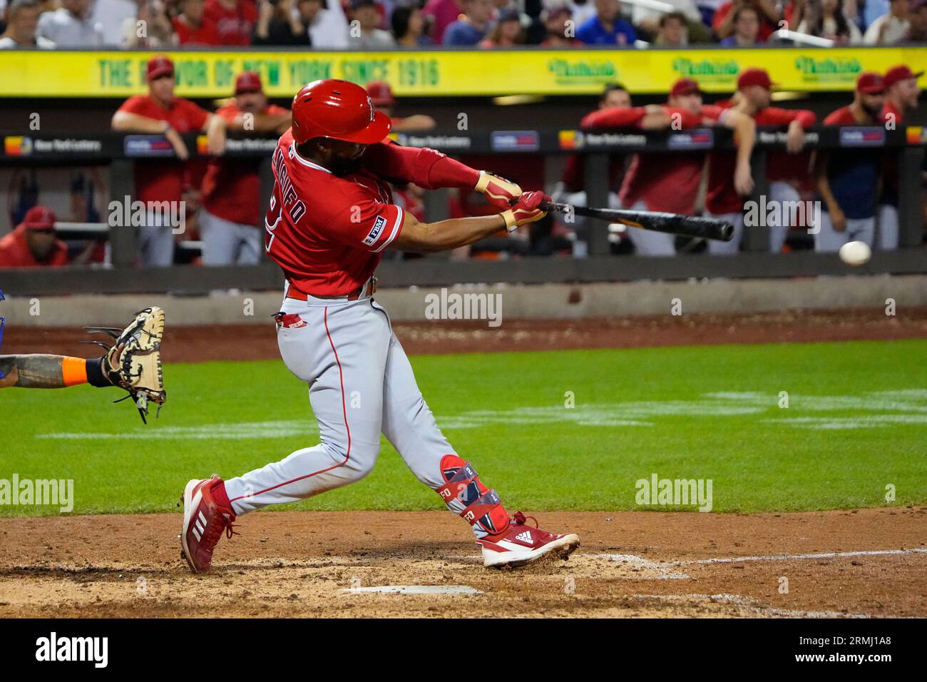 FLUSHING, NY - AUGUST 26: Los Angeles Angels Second Baseman Luis ...