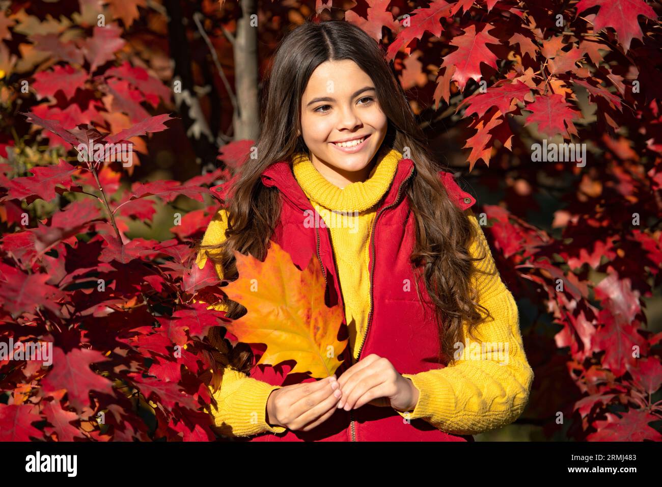 Autumn kid girl face on autumn fall leaf background. happy child ...