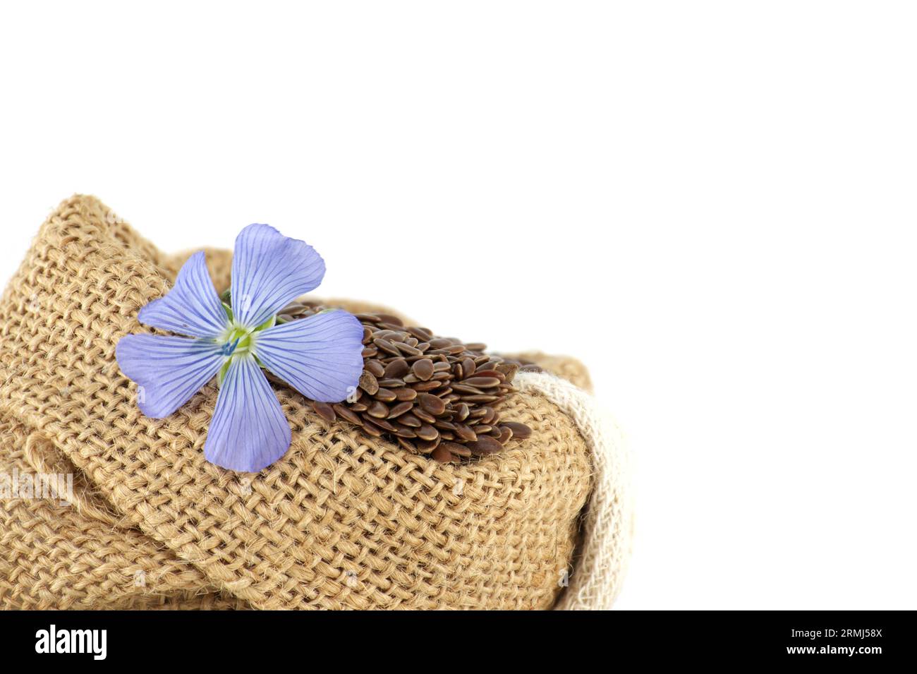 Flax seeds, also known as Linseed, Flaxseed and Common Flax in a burlap bag and blue flax ...