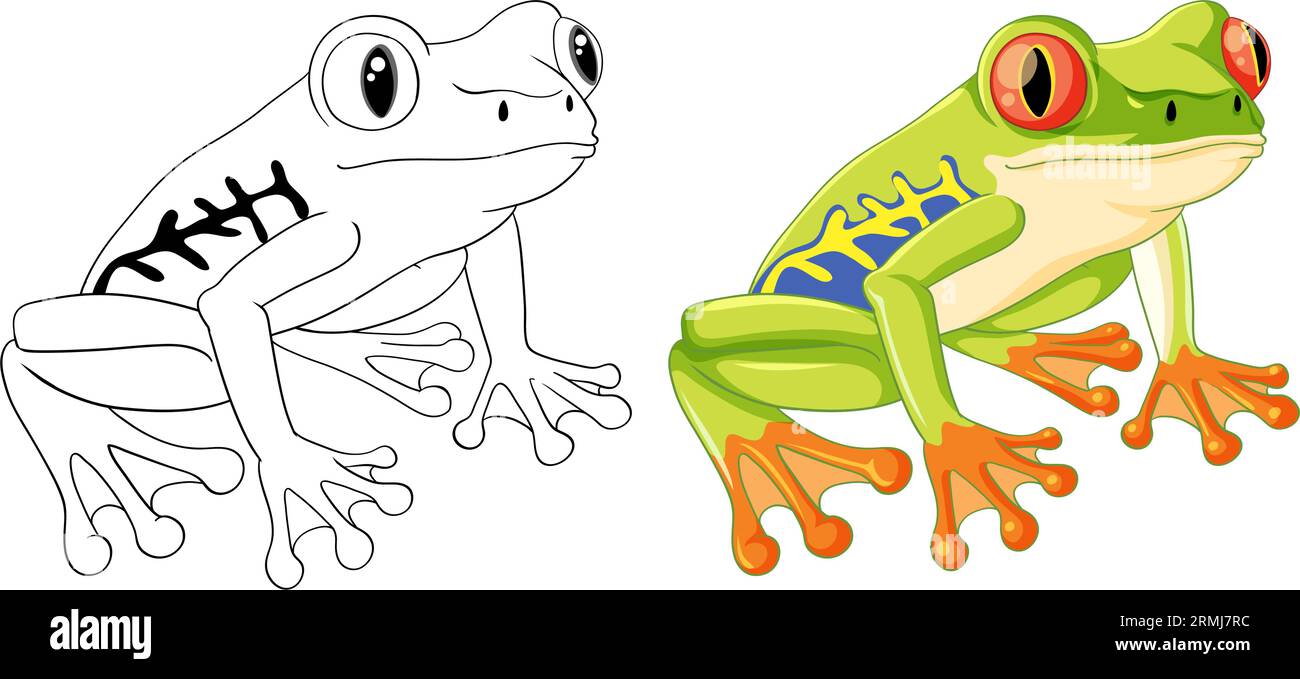 Vector cartoon illustration of an outline green frog for coloring Stock Vector Image & Art - Alamy