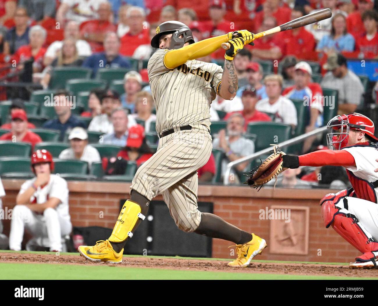 ST. LOUIS, MO - AUGUST 28: San Diego Padres catcher Gary Sanchez (99 ...