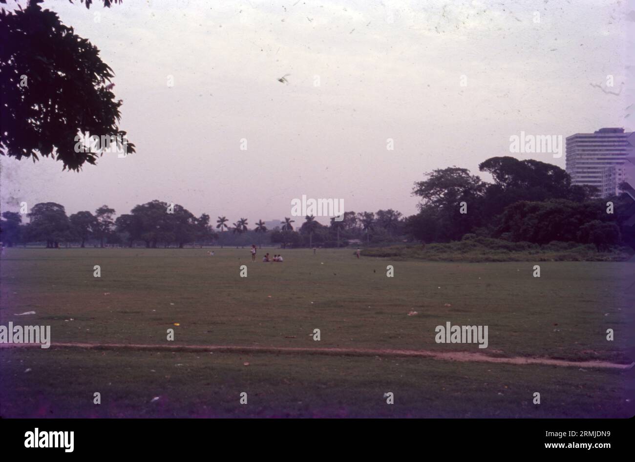 Calcuttans hi-res stock photography and images - Alamy