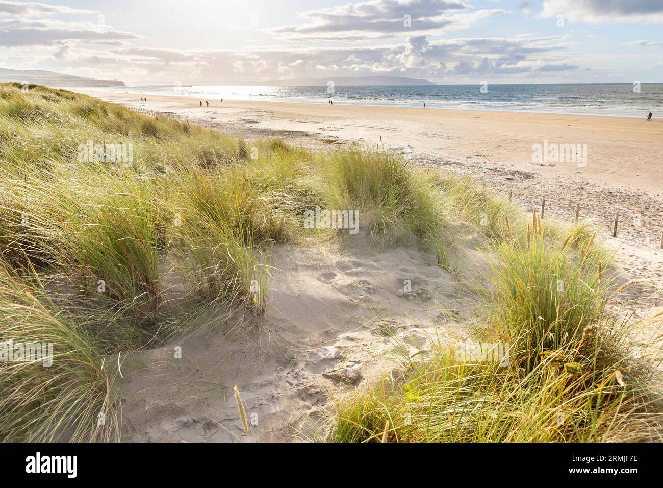 Dunes at the National Trust beach of Portstewart Strand, Derry Stock ...