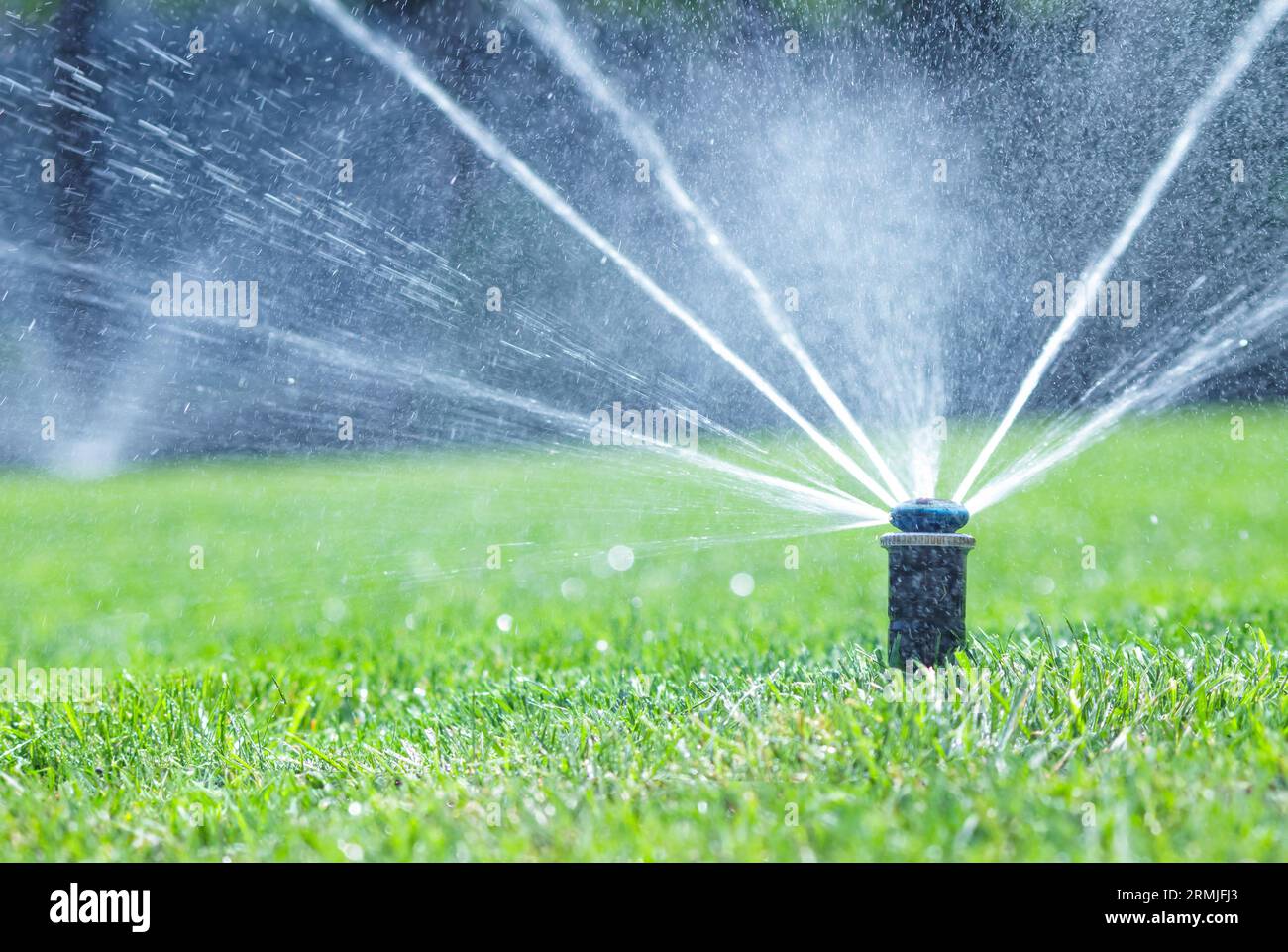 Irrigation system in home garden. Automatic watering lush green lawn ...