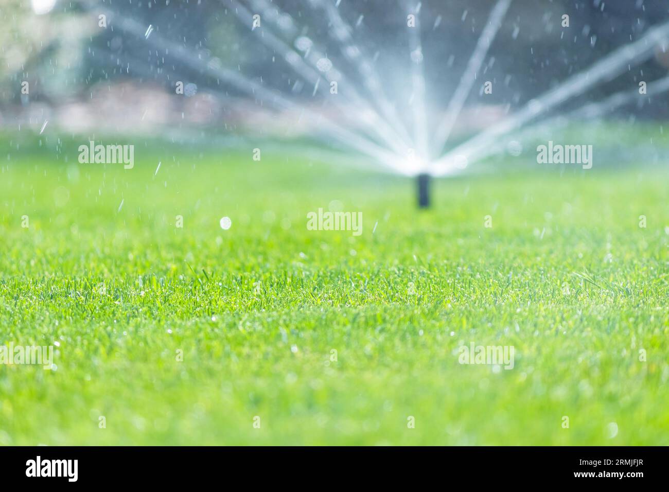 Irrigation system in home garden. Automatic watering lush green lawn ...