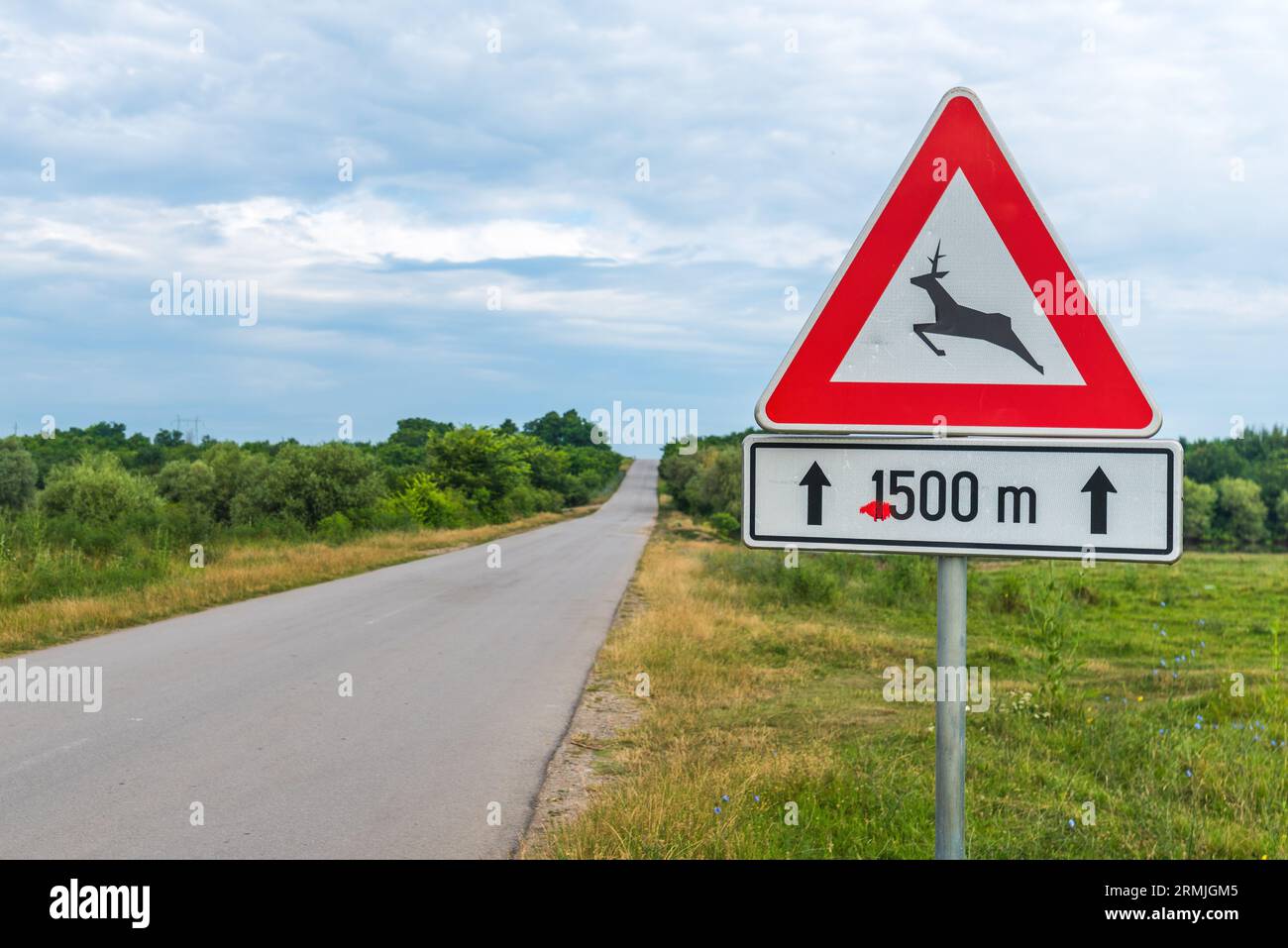 European Deer crossing road traffic sign, Deer Xing in nature ...