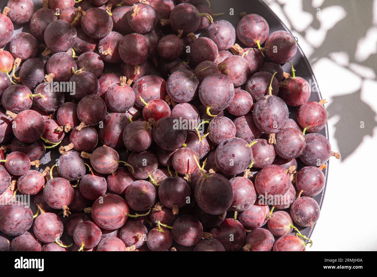 Gooseberries in a plate on the table. Vitamin summer food. Berry ...