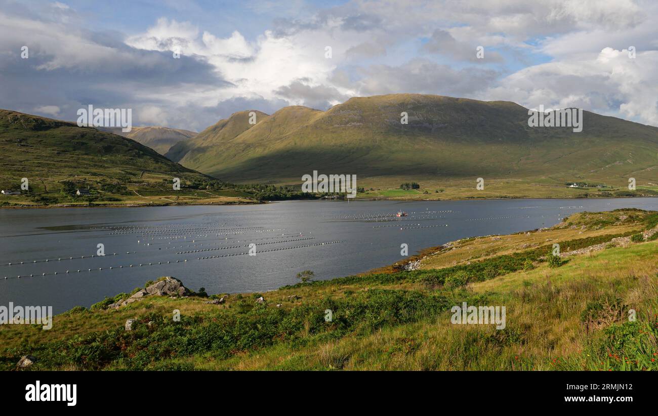 Ireland, Connemara: County Mayo. Golden hour on the Killary Harbour or ...