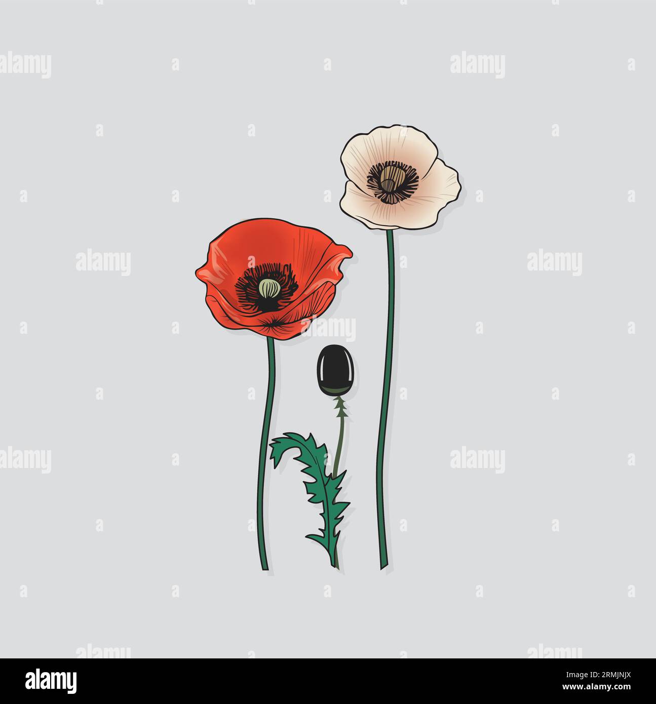 Types of Flower vector outline on a white Background Stock Vector Image ...