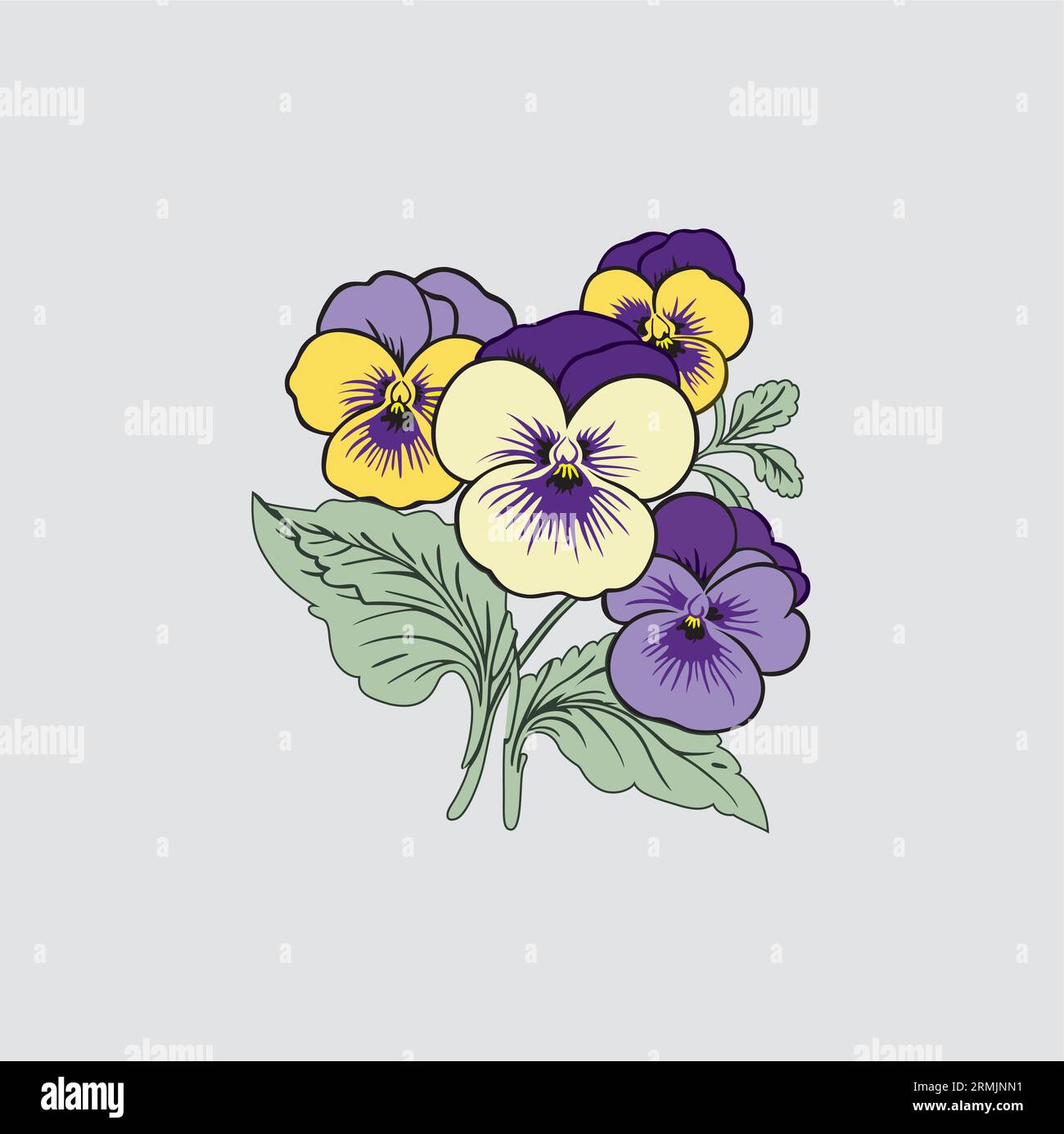 Violet flower on white Stock Vector Images - Alamy