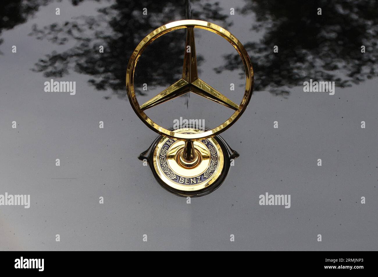 A closeup of the iconic Mercedes emblem affixed to the hood of a sleek ...