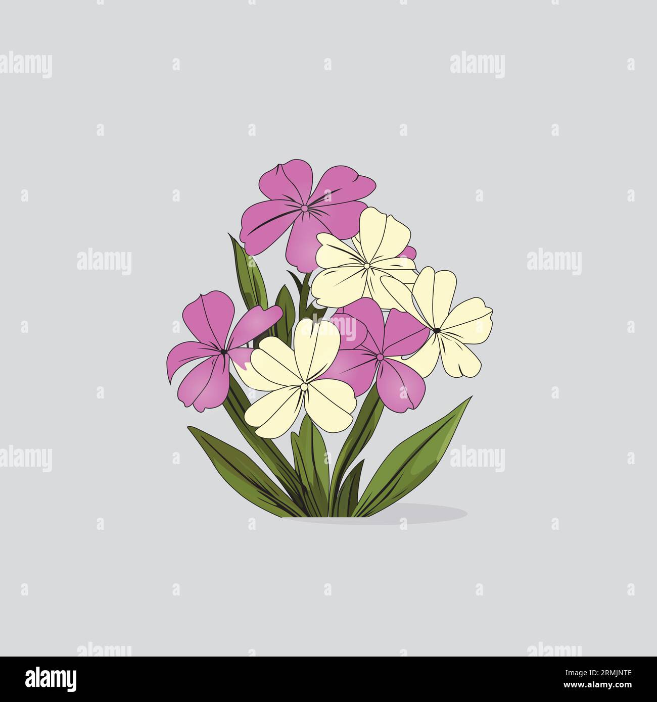 Types of Flower vector outline on a white Background Stock Vector Image ...