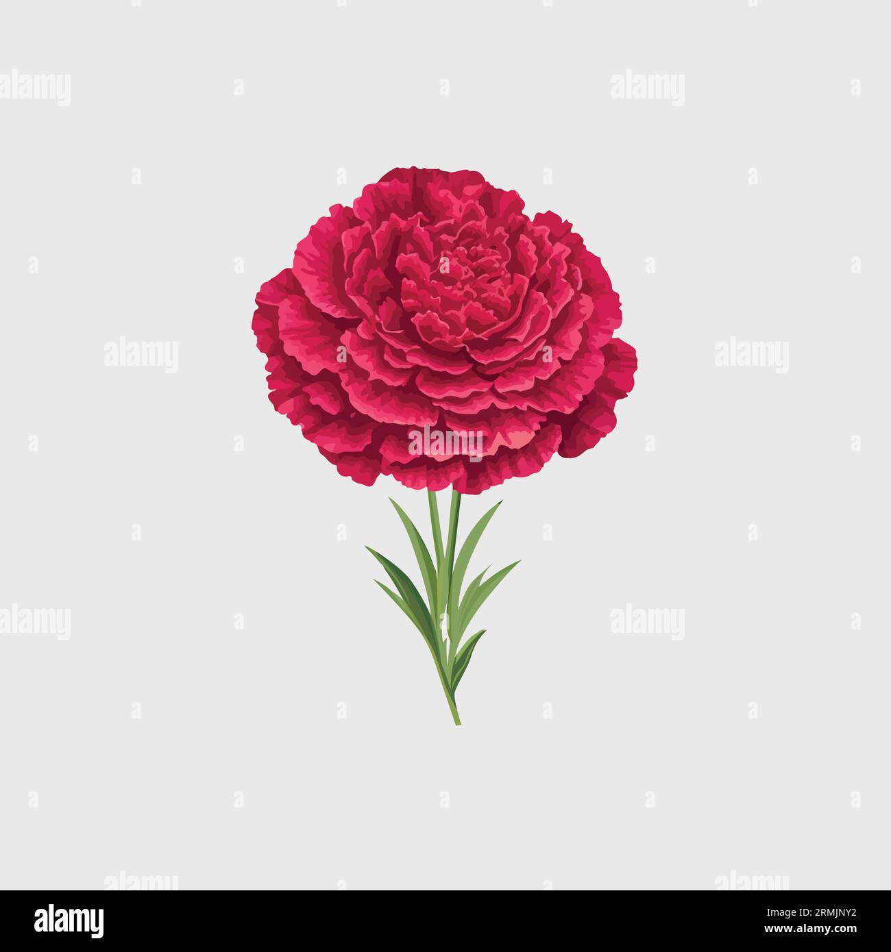 Carnation arrangement Stock Vector Images - Alamy