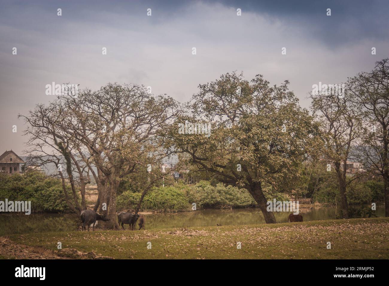 Some landscape images of agricultural activities in Lam Dong Lam Dong ...
